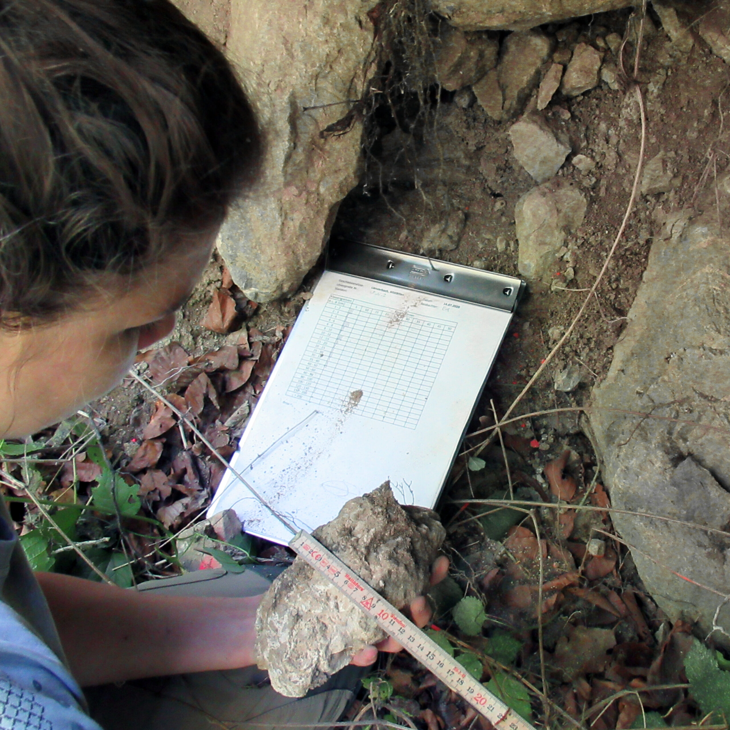 Geomorphologie und geologische Kartierung – INGENIAS